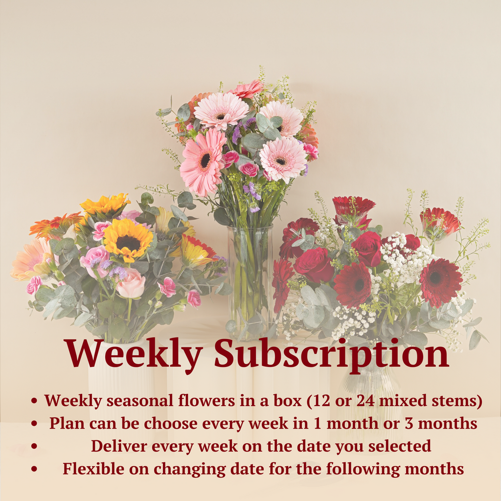 Weekly Plan – February Bloom Florist